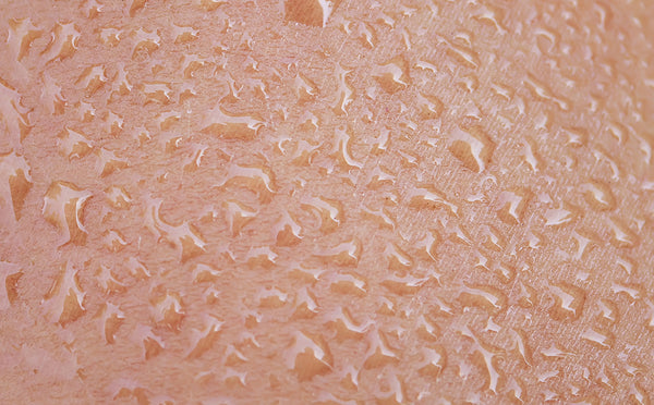 Everything You Need To Know About Your Skin Barrier! - Mabel + Meg ...